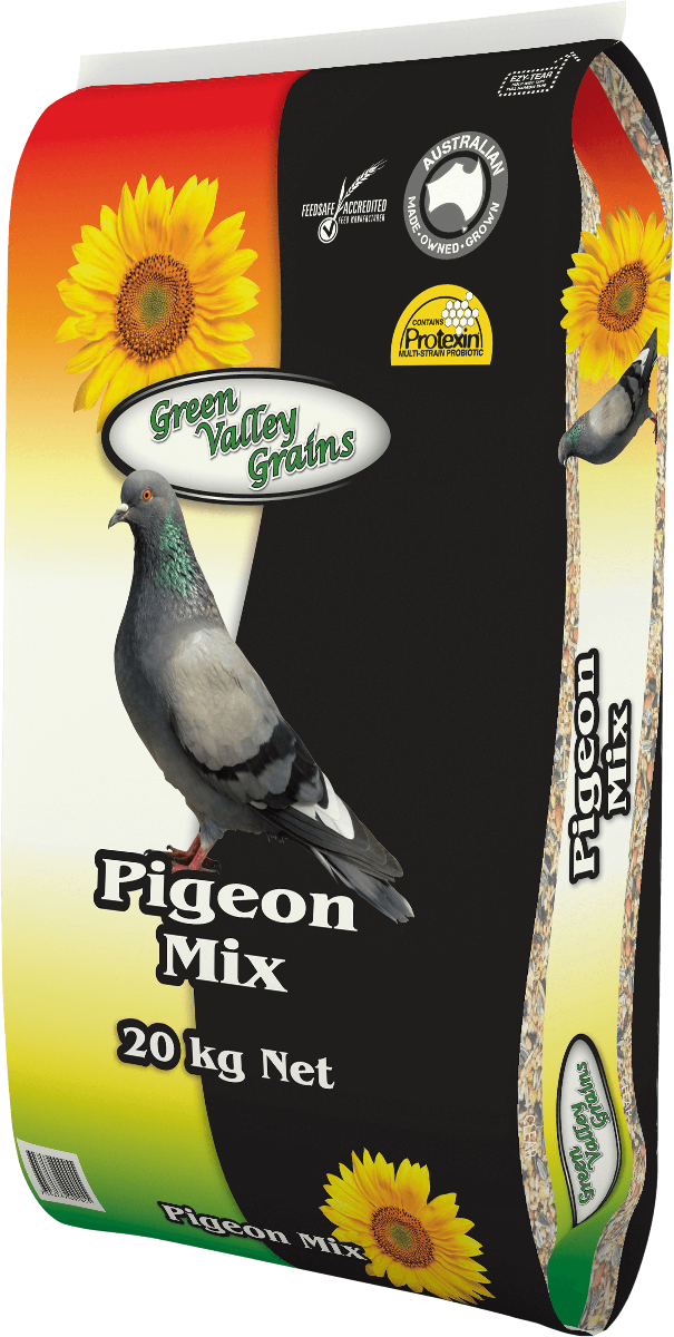 Grains Pigeon Bird Food 10kg - Planet Pet