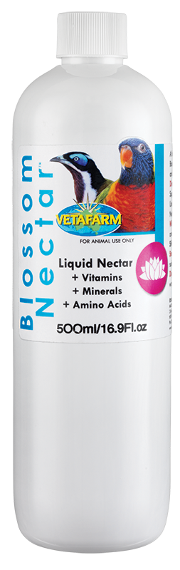 Blossom Nectar Liquid Nectar 500ml - Planet Pet